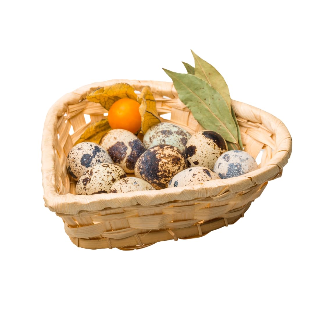 Fresh Quail Eggs Laid in the US | Quailz.com by Undique LLC