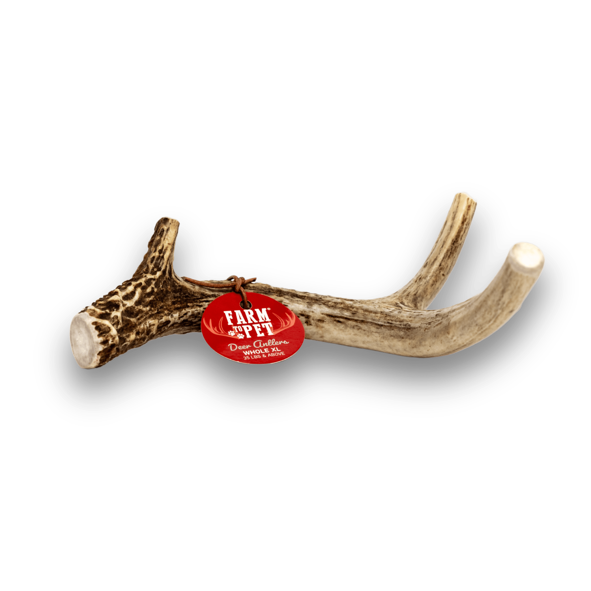 Deer Antlers for Dogs | Blessings Grow Meadows
