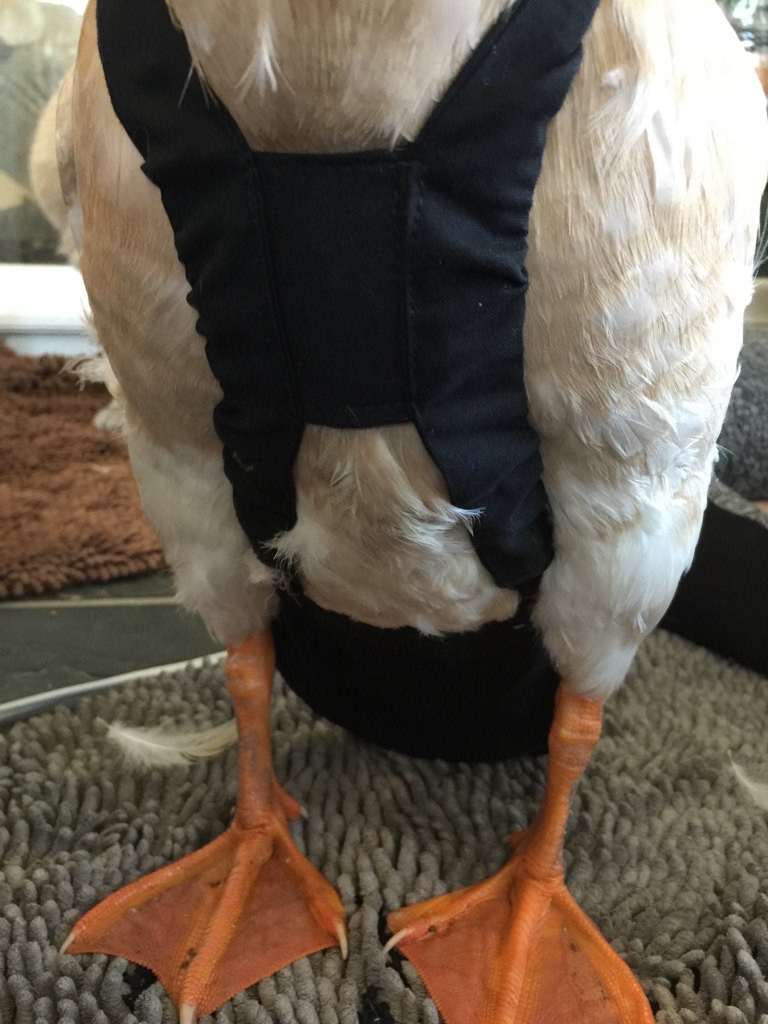 Hen Holster Duck Diaper Goose Diaper Removable Liners | Crazy K Farm ...
