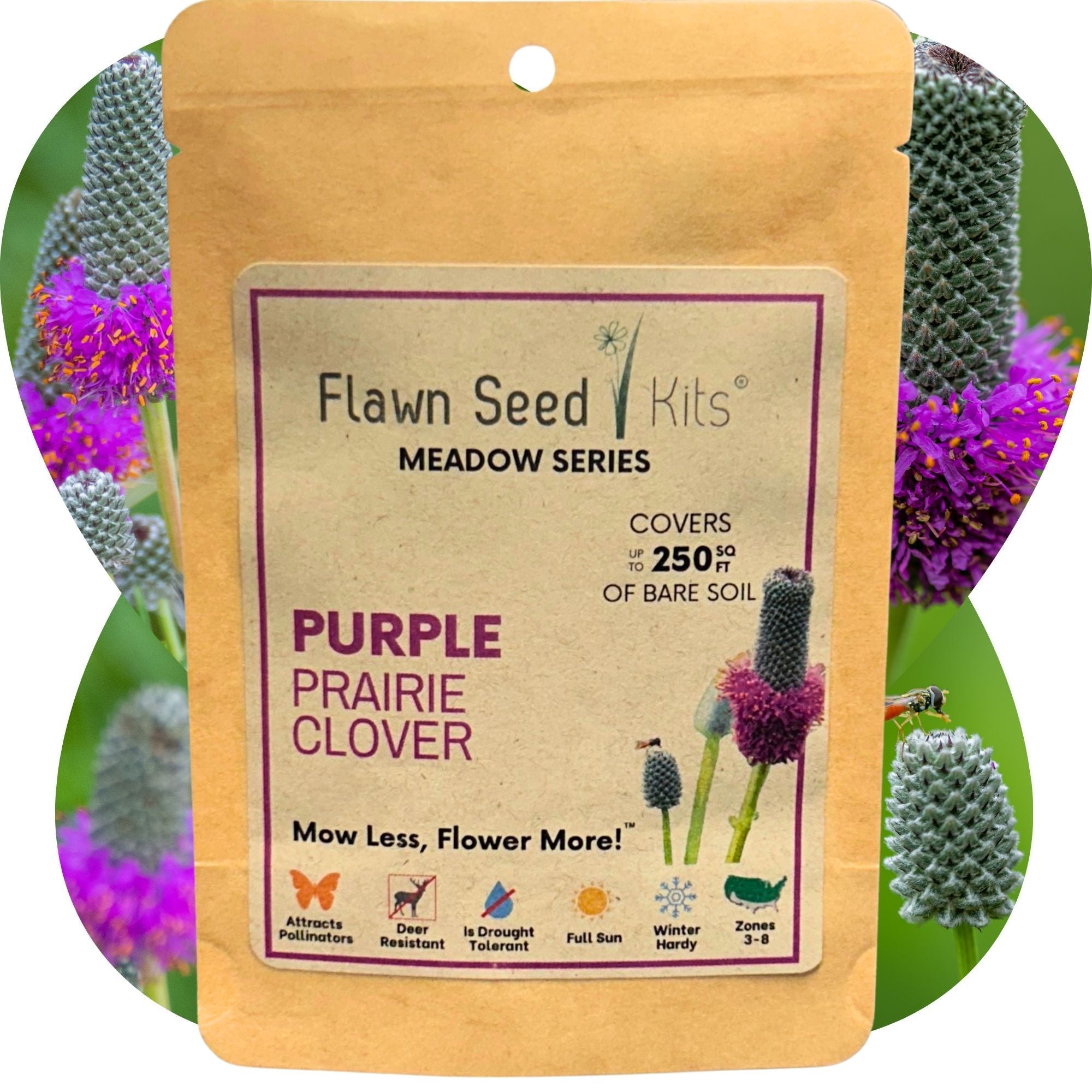 Purple Prairie Clover Seed - Blessings Grow Meadows - Flawn Seed Kits