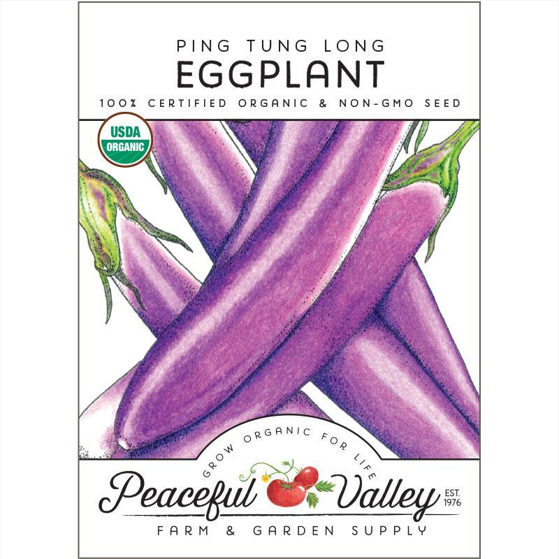 Ping Tung Long Eggplant Seeds (Organic) | Blessings Grow Meadows