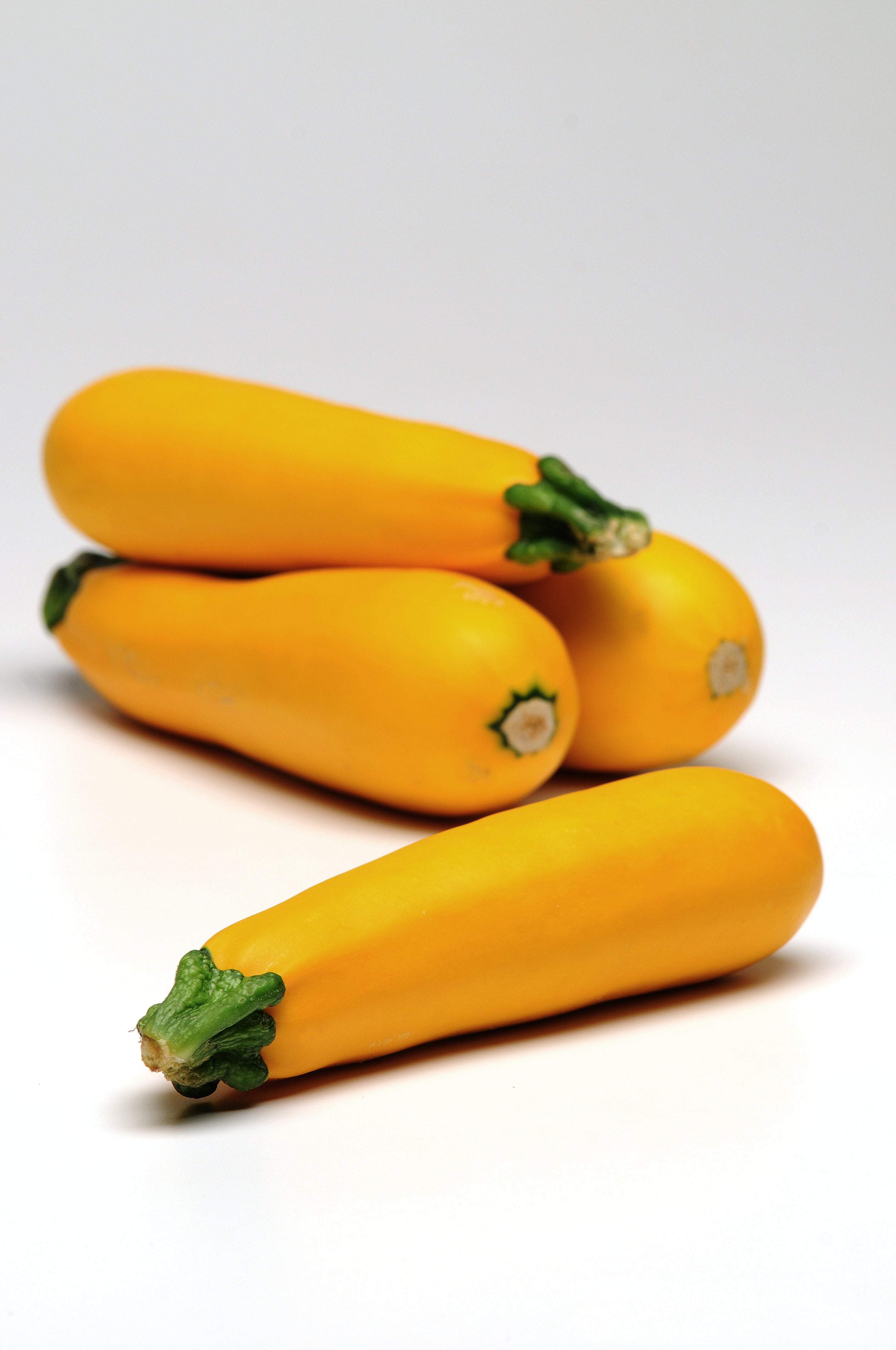 Easy Pick Gold II Hybrid Zucchini Seeds | Blessings Grow Meadows