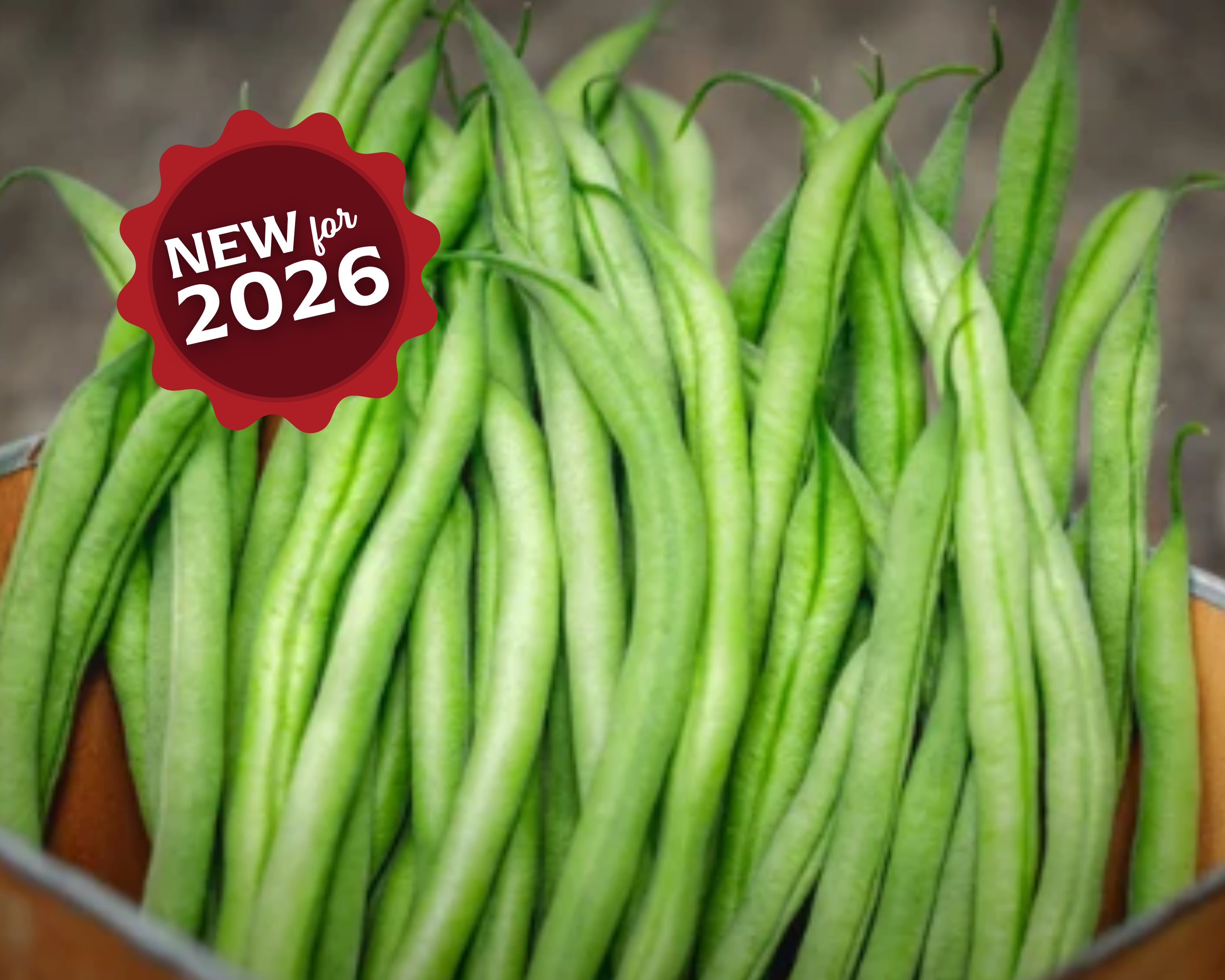 French Filet Bean Seeds | Seeds 'n Such