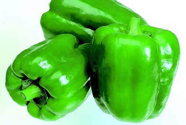 New Ace Hybrid Pepper Seeds - Blessings Grow Meadows - Seeds 'n Such