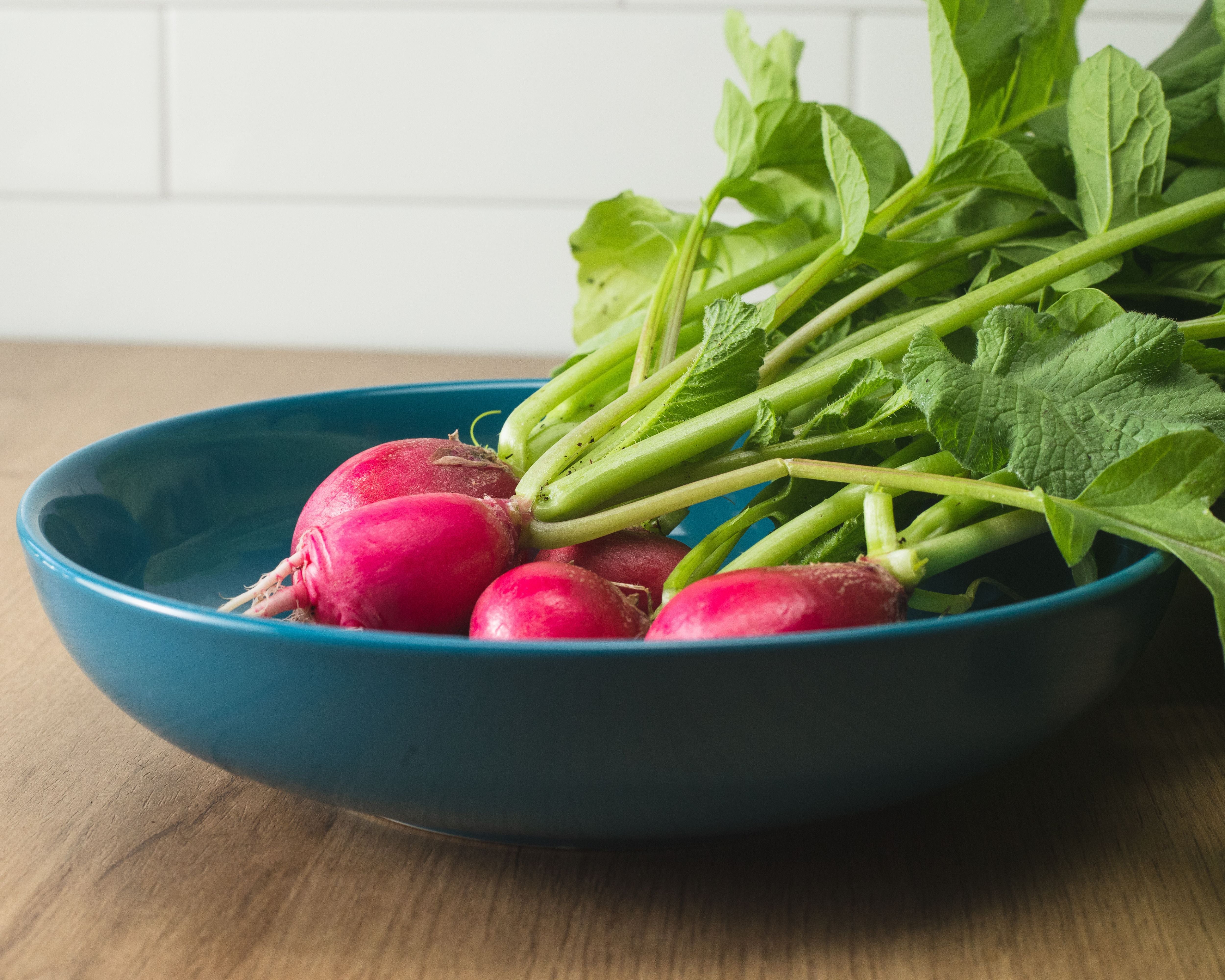 German Giant Radish Seeds - Blessings Grow Meadows - Seeds 'n Such
