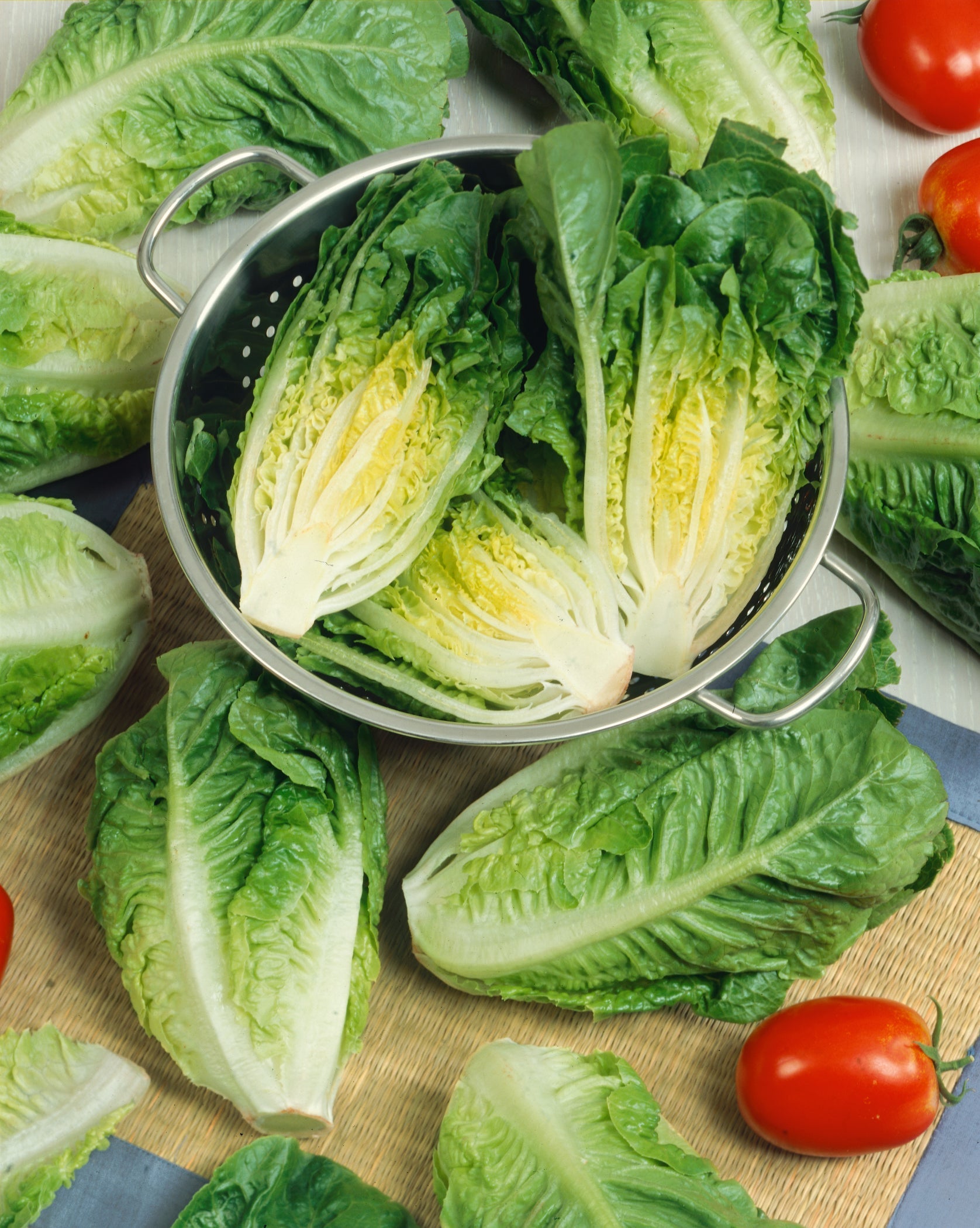 Little Caesar Lettuce Seeds - Blessings Grow Meadows - Seeds 'n Such